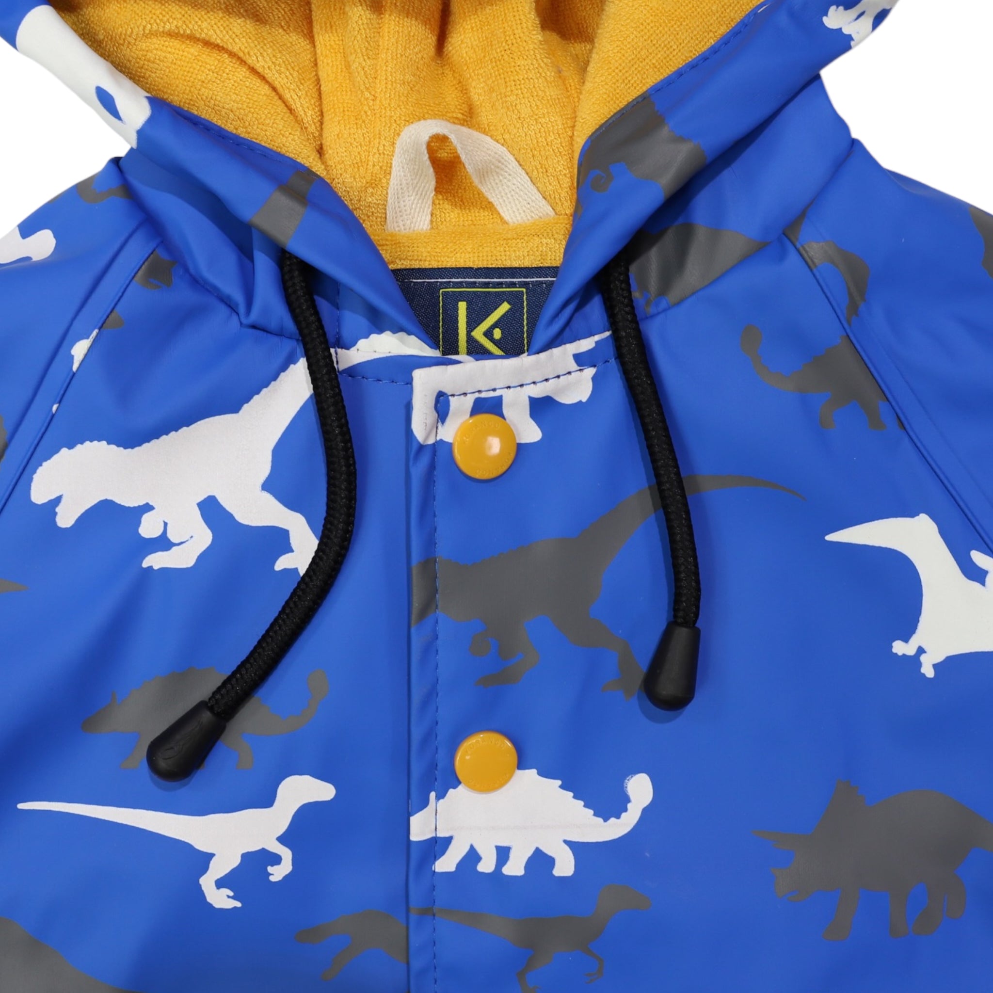 Dinosaur Colour Change Raincoat – Korango